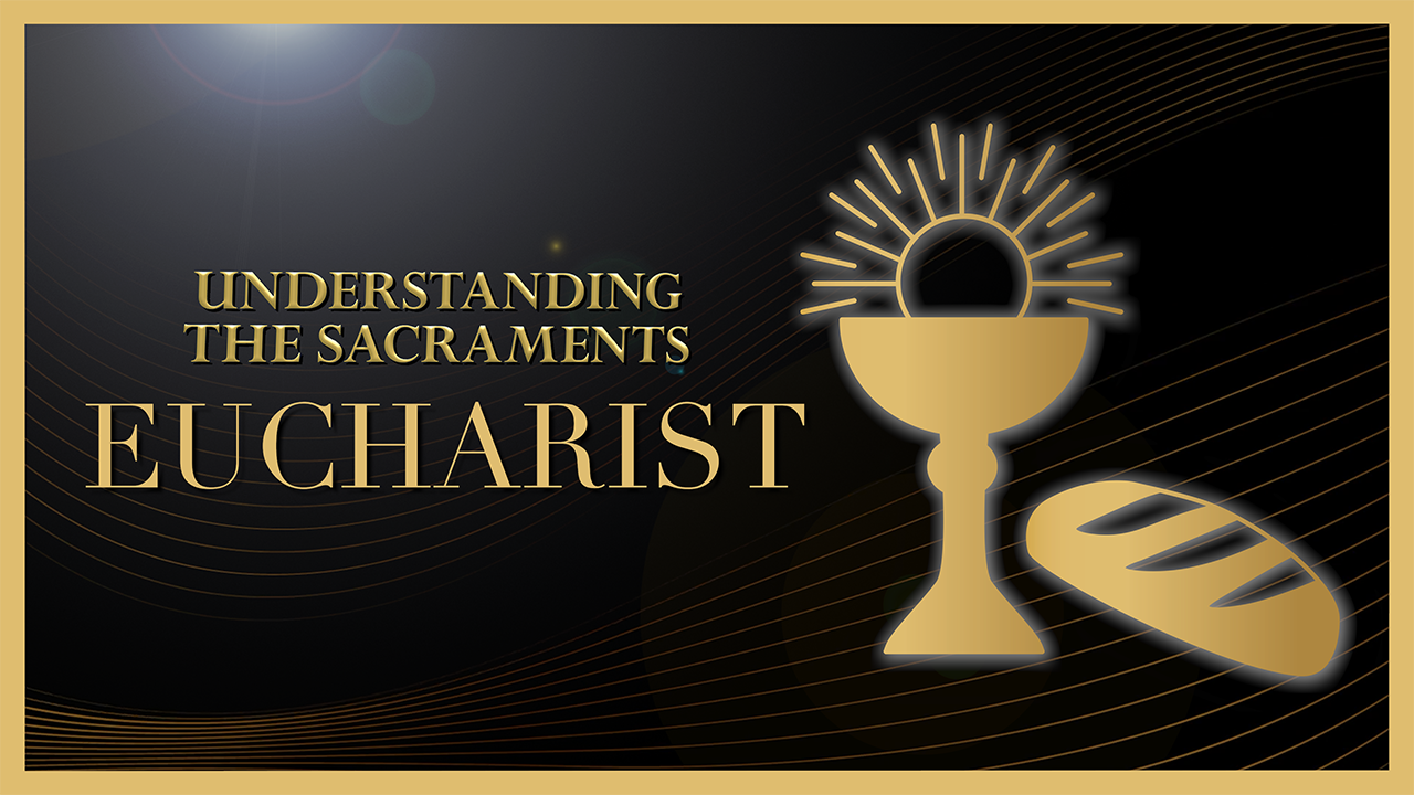 Is Holy Communion Literally the Body of Christ? | Divine Mercy Plus