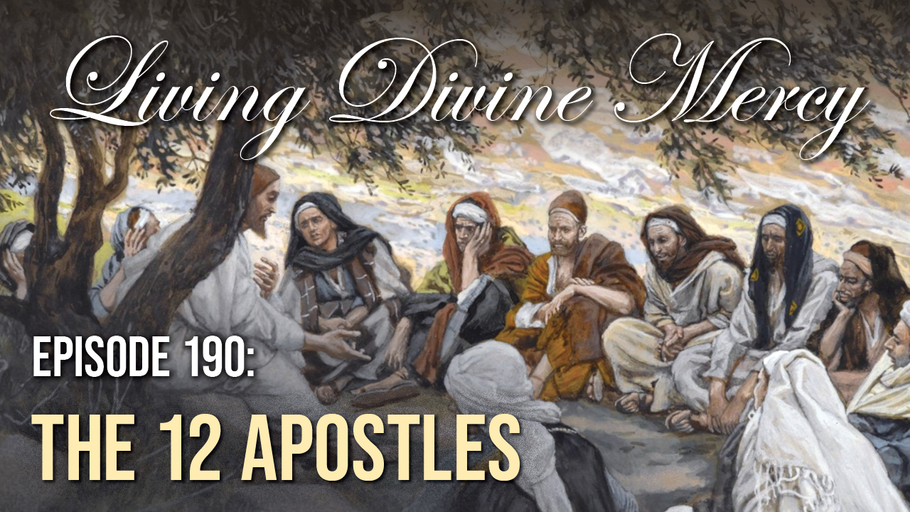 The 12 Apostles | Divine Mercy Plus
