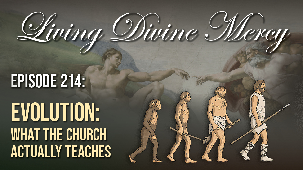 Evolution | Divine Mercy Plus