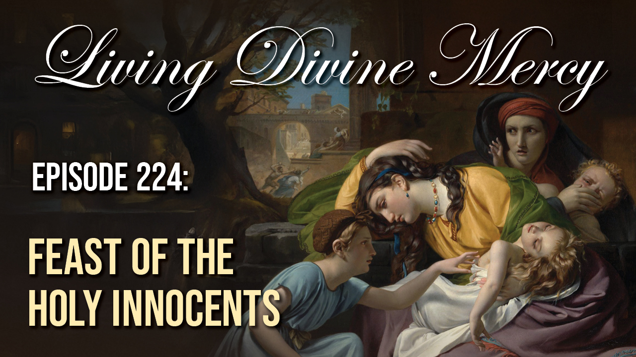The Holy Innocents | Divine Mercy Plus