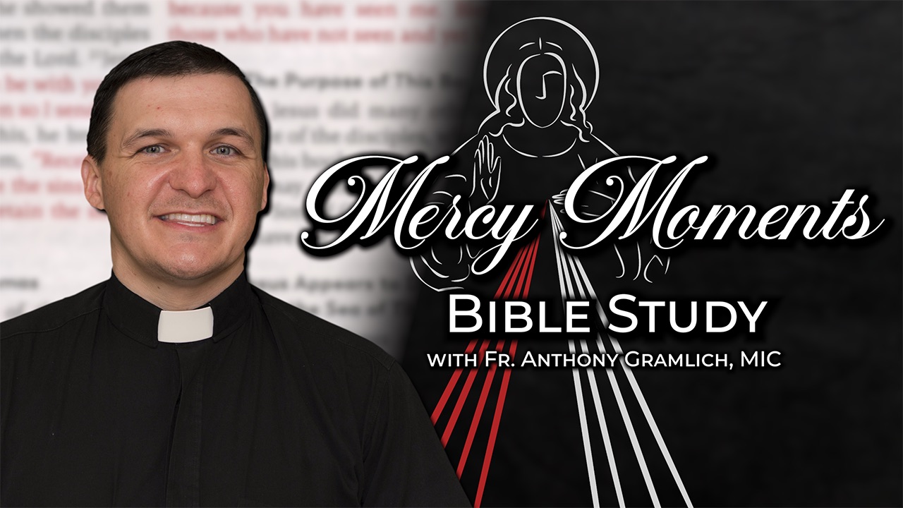 Discover "Mercy Moments Bible Study" | Divine Mercy Plus
