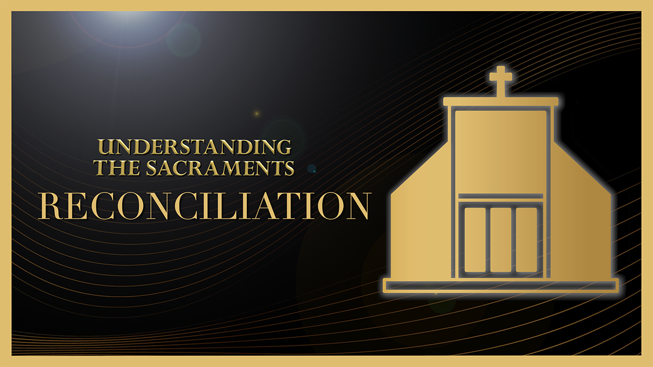 Why must we confess our sins to a priest? | Divine Mercy Plus