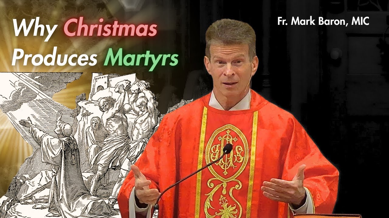 When Christmas Light Meets the Cost of Truth | Divine Mercy Plus