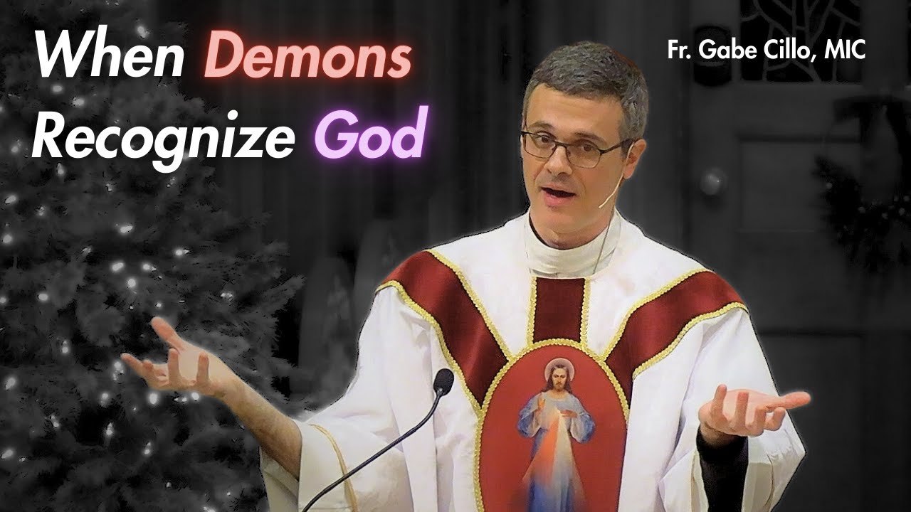 Jesus Is God: Why This Truth Changes Everything | Divine Mercy Plus