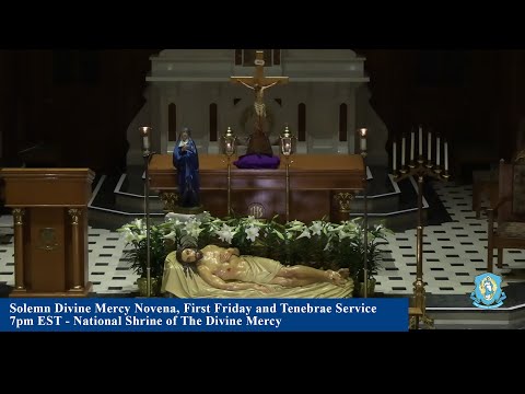 Good Friday, Apr 7 - Solemn Divine Mercy Novena, First Friday, and ...