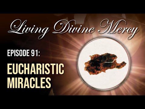 Eucharistic Miracles | Divine Mercy Plus